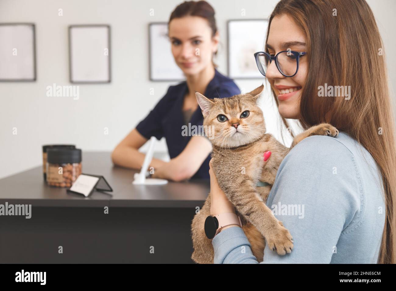 Young woman cat reception hi-res stock photography and images - Alamy