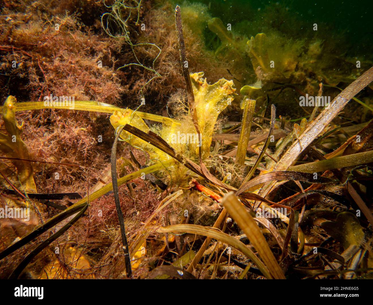 Rock is covered with names hi-res stock photography and images - Alamy