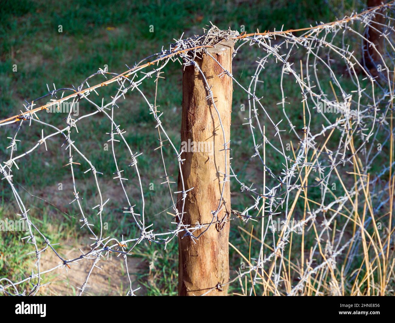 Pillar rack hi-res stock photography and images - Alamy