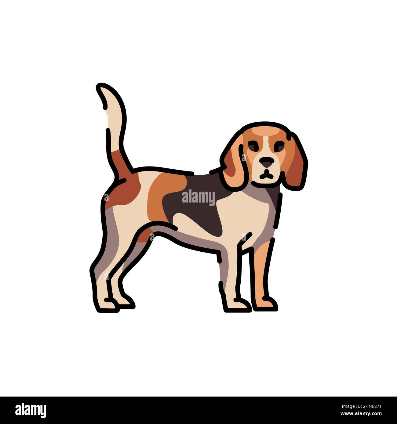 Beagle color line icon. Dog breed Stock Vector Image & Art - Alamy