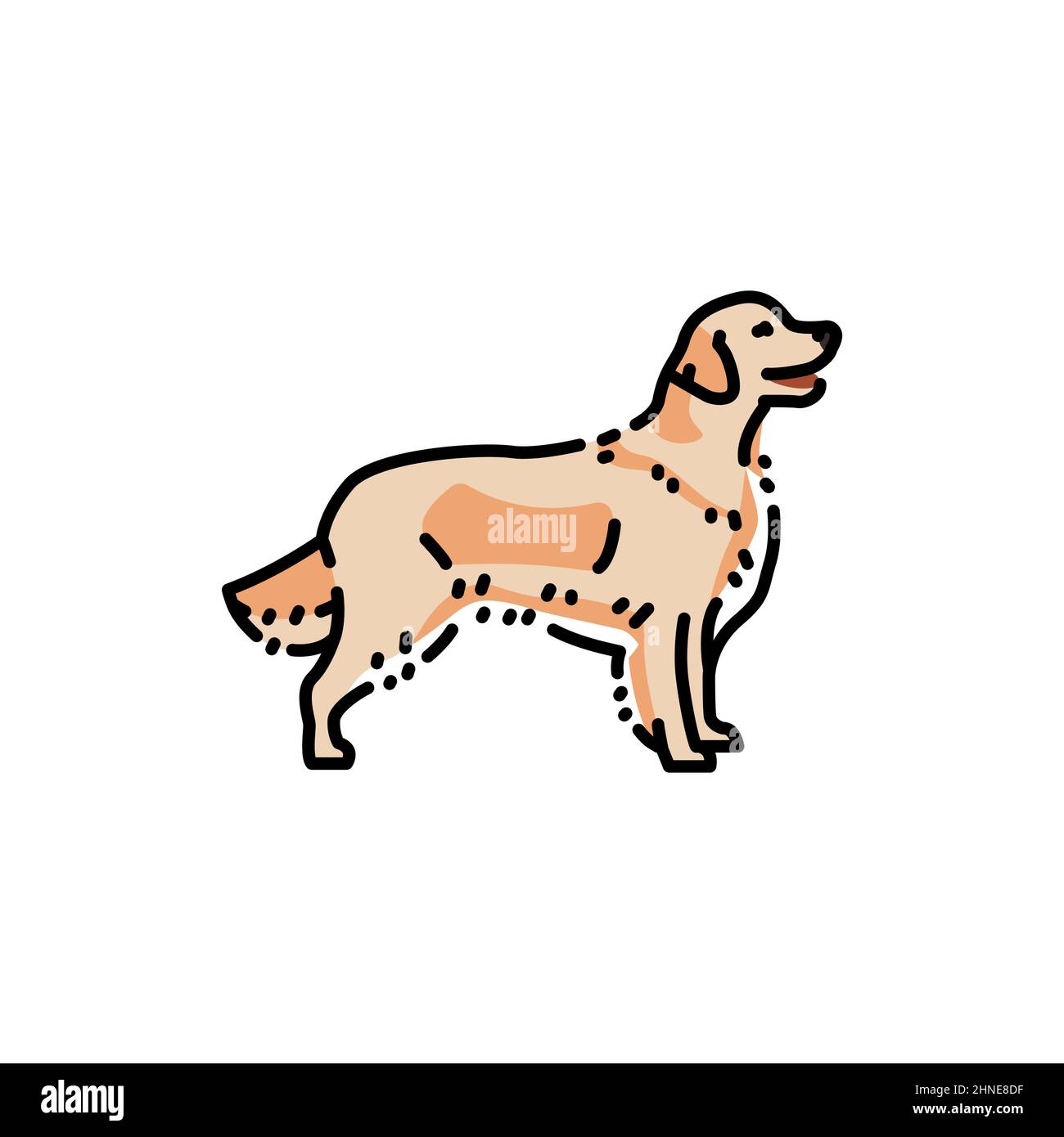 Golden retriever color line icon. Dog breed Stock Vector Image & Art ...