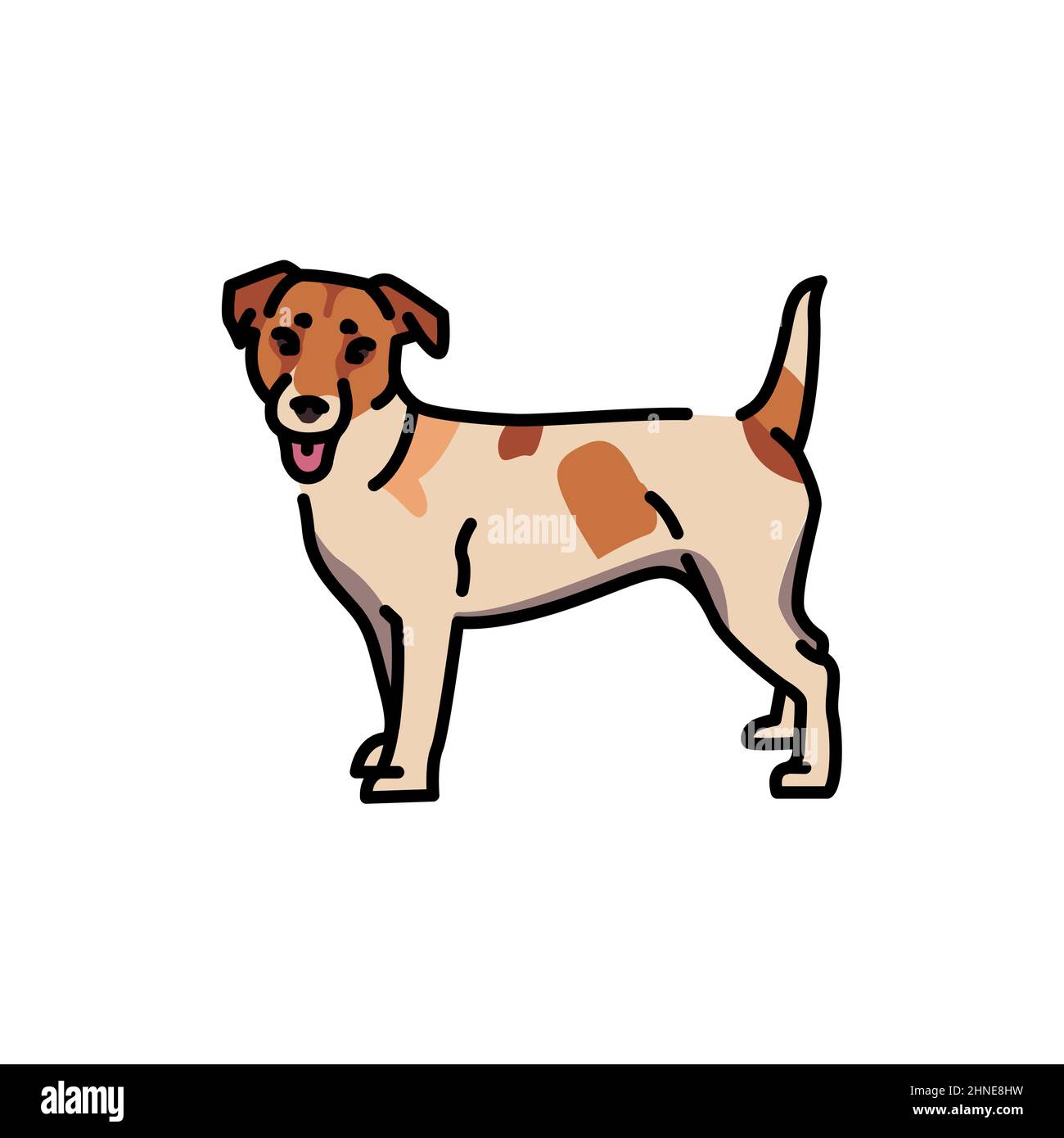 Jack russell color line icon. Dog breed Stock Vector Image & Art - Alamy