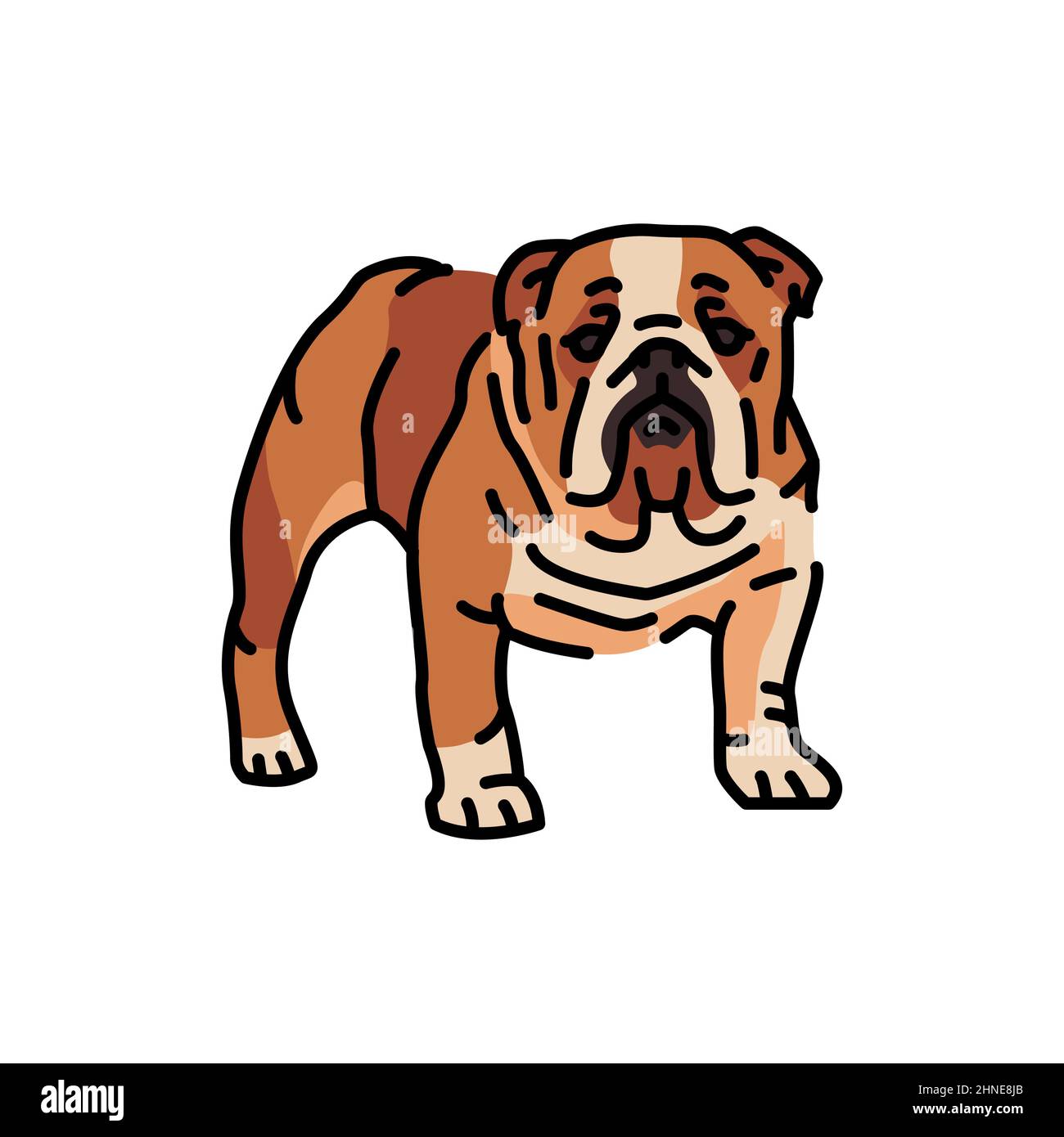 English bulldog color line icon. Dog breed Stock Vector Image & Art - Alamy