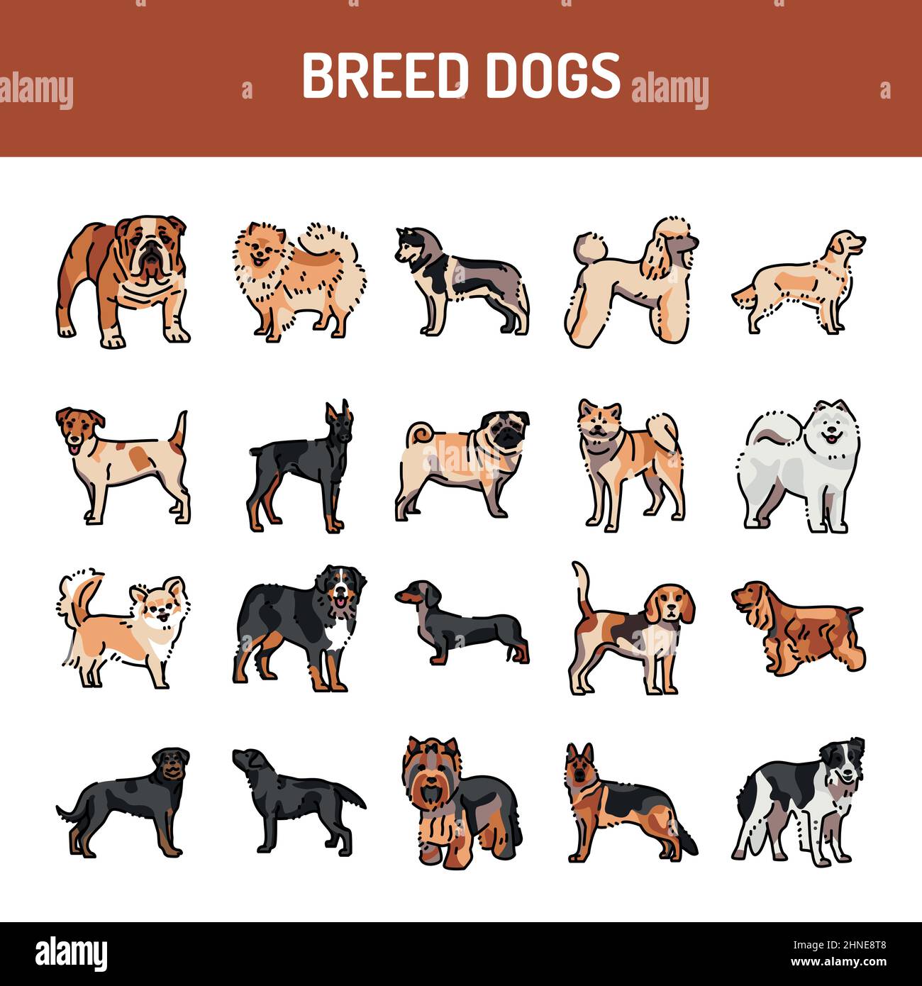 Breed dogs line icons set. Isolated vector element Stock Vector Image ...