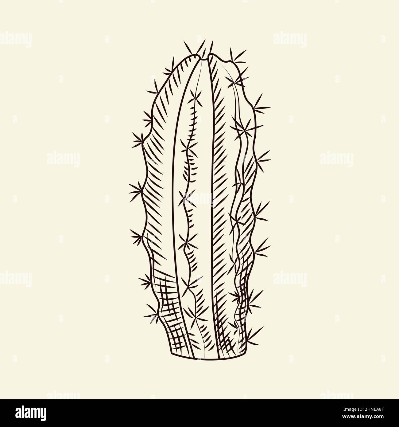 Hand drawn cactus isolated on light background. Wild cacti vector ...