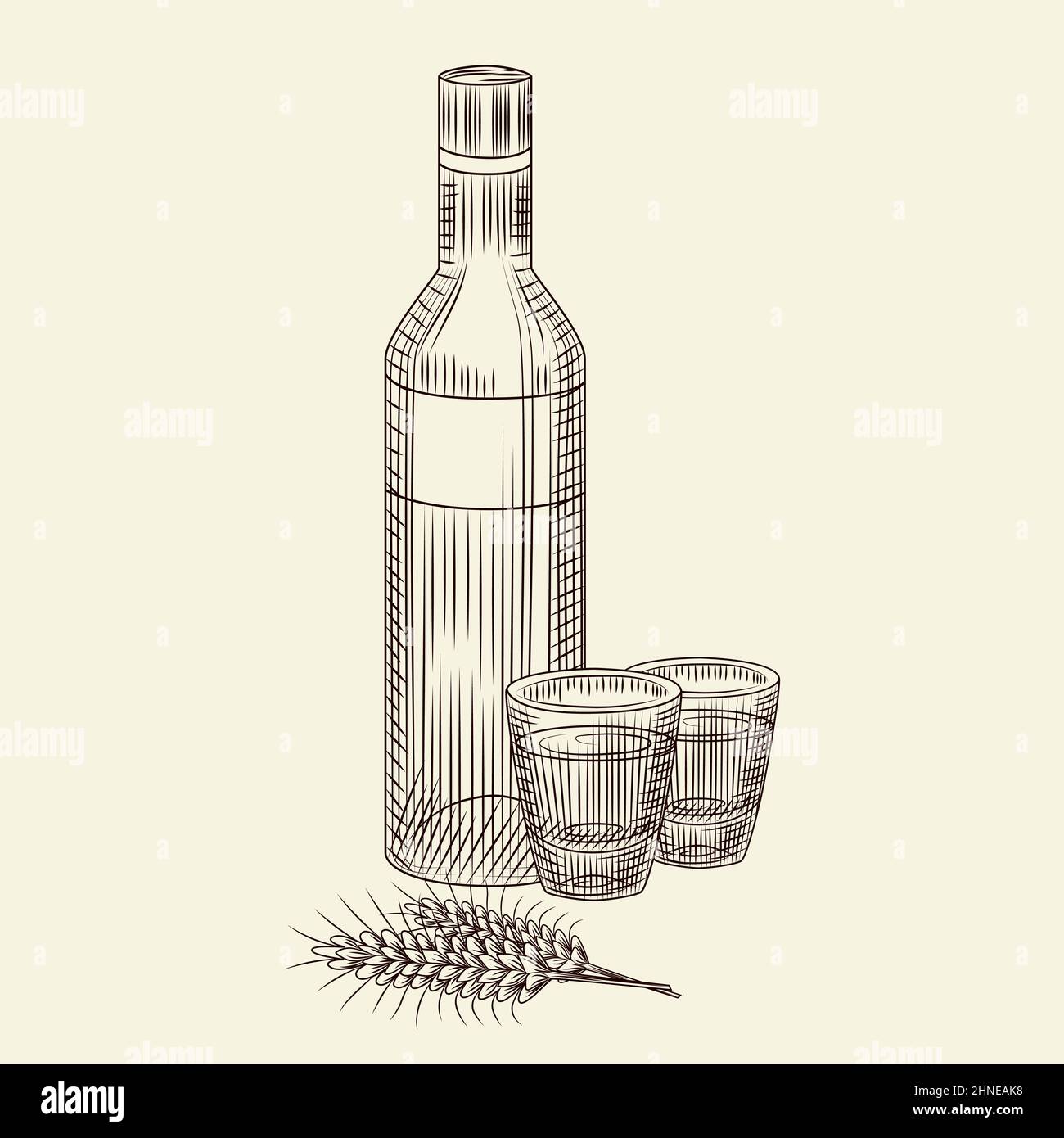 Bottle of vodka and two full shot drink. Hand drawn alcohol glass ...