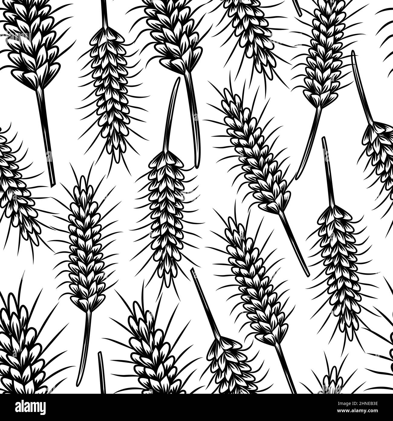 Vintage sketch with wheat seamless pattern. Wheat, rice, oat, barley ...