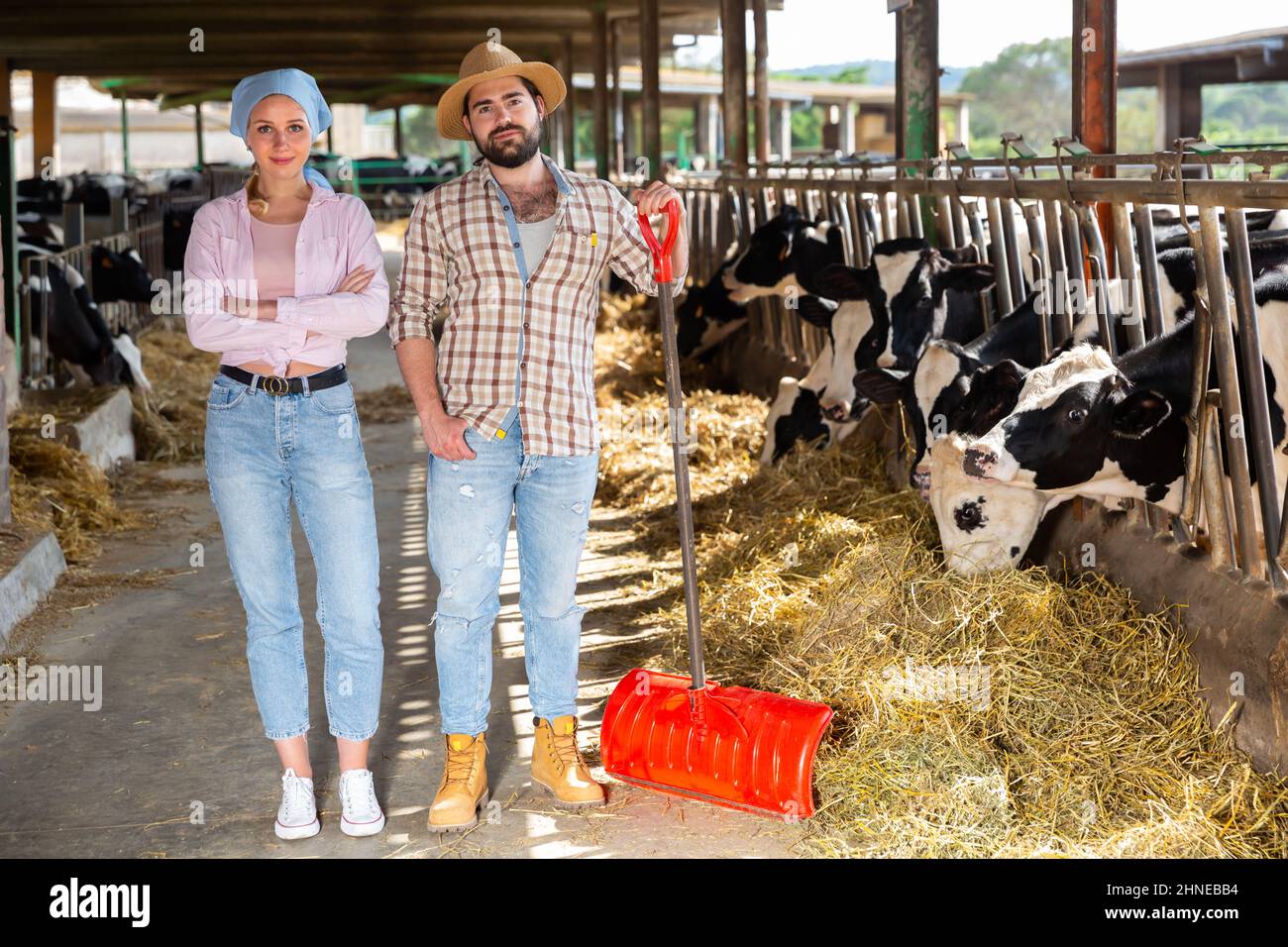 Nice female and man standing during break Stock Photo - Alamy
