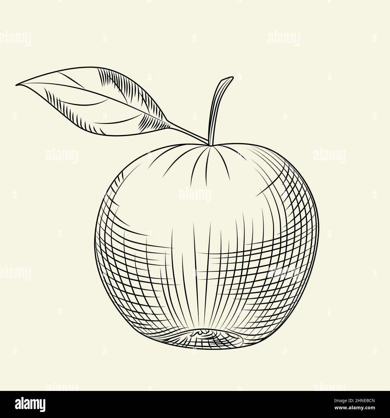 Hand drawn apple isolated on background. Engraving vintage style ...