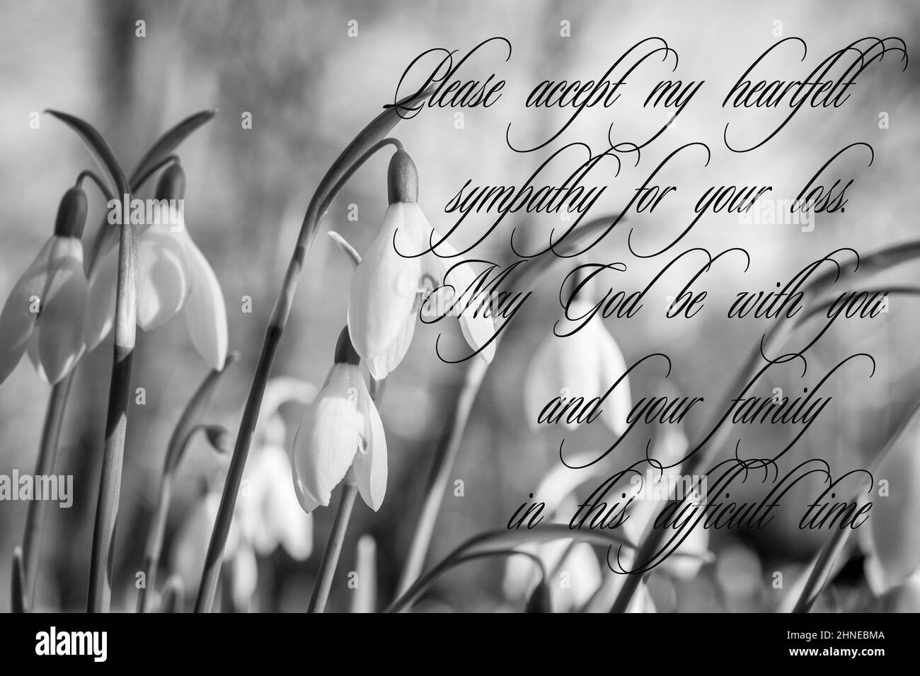 photo of flowers with text condolences Stock Photo - Alamy
