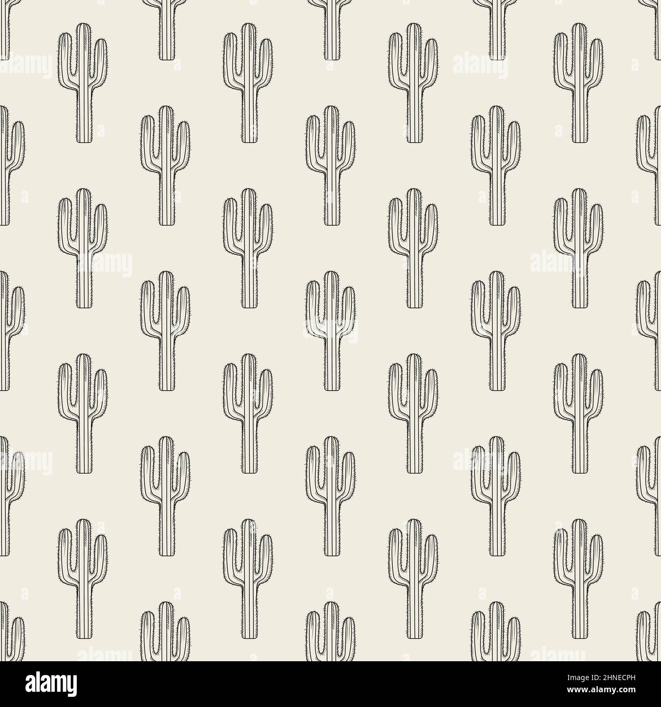 Hand drawn cactus seamless pattern. Engraving vintage style. Vector ...