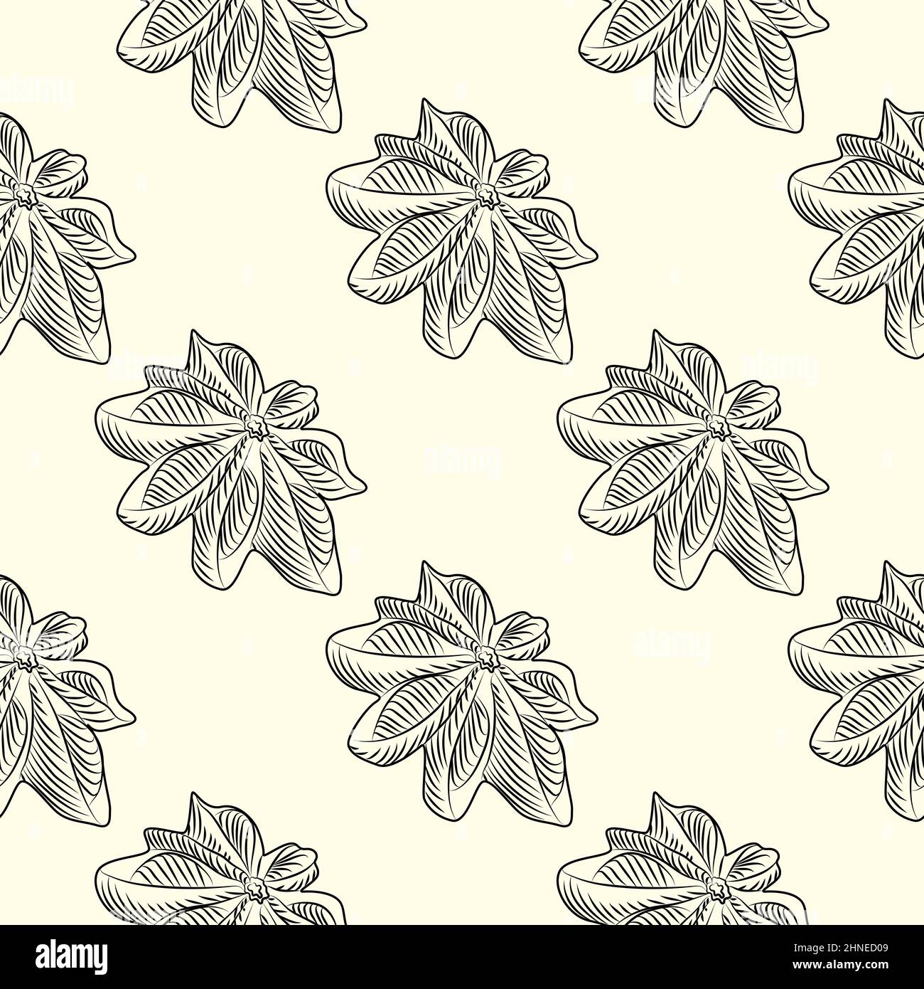 Hand drawn badian seamless pattern . Dry anise backdrop. Engraving ...
