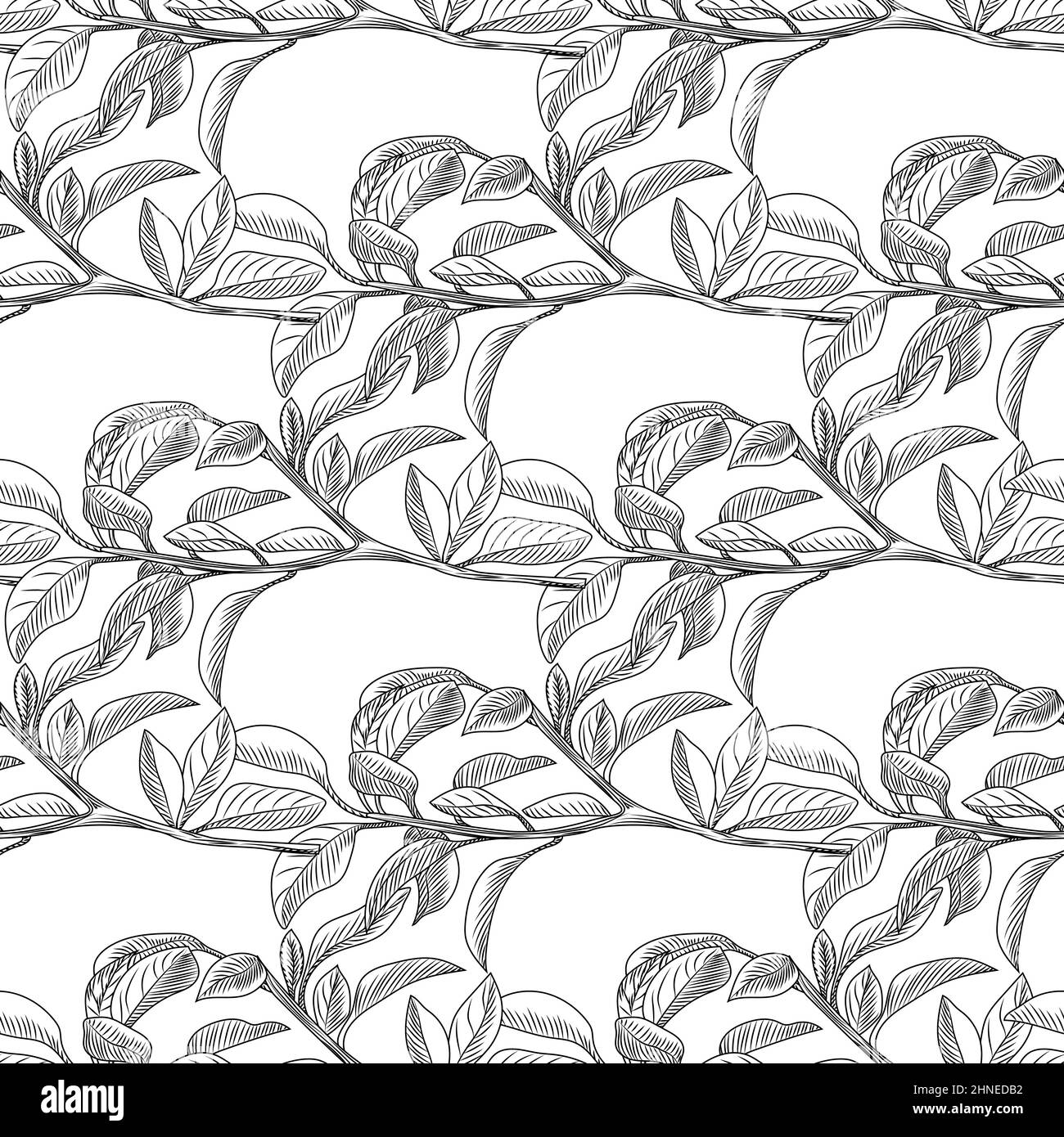 Monochrome retro leaf seamless background. Tropical wallpaper. Hand ...