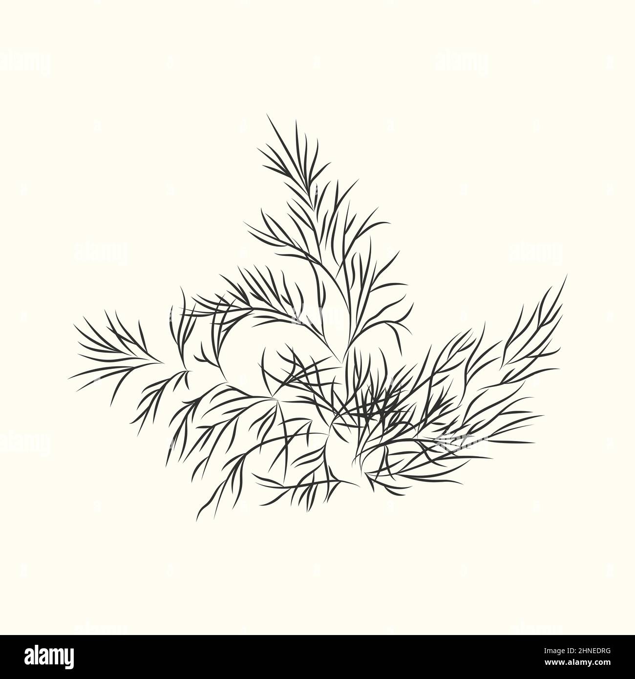Dill herb branch ink sketch isolated. Monochrome food ingredient ...