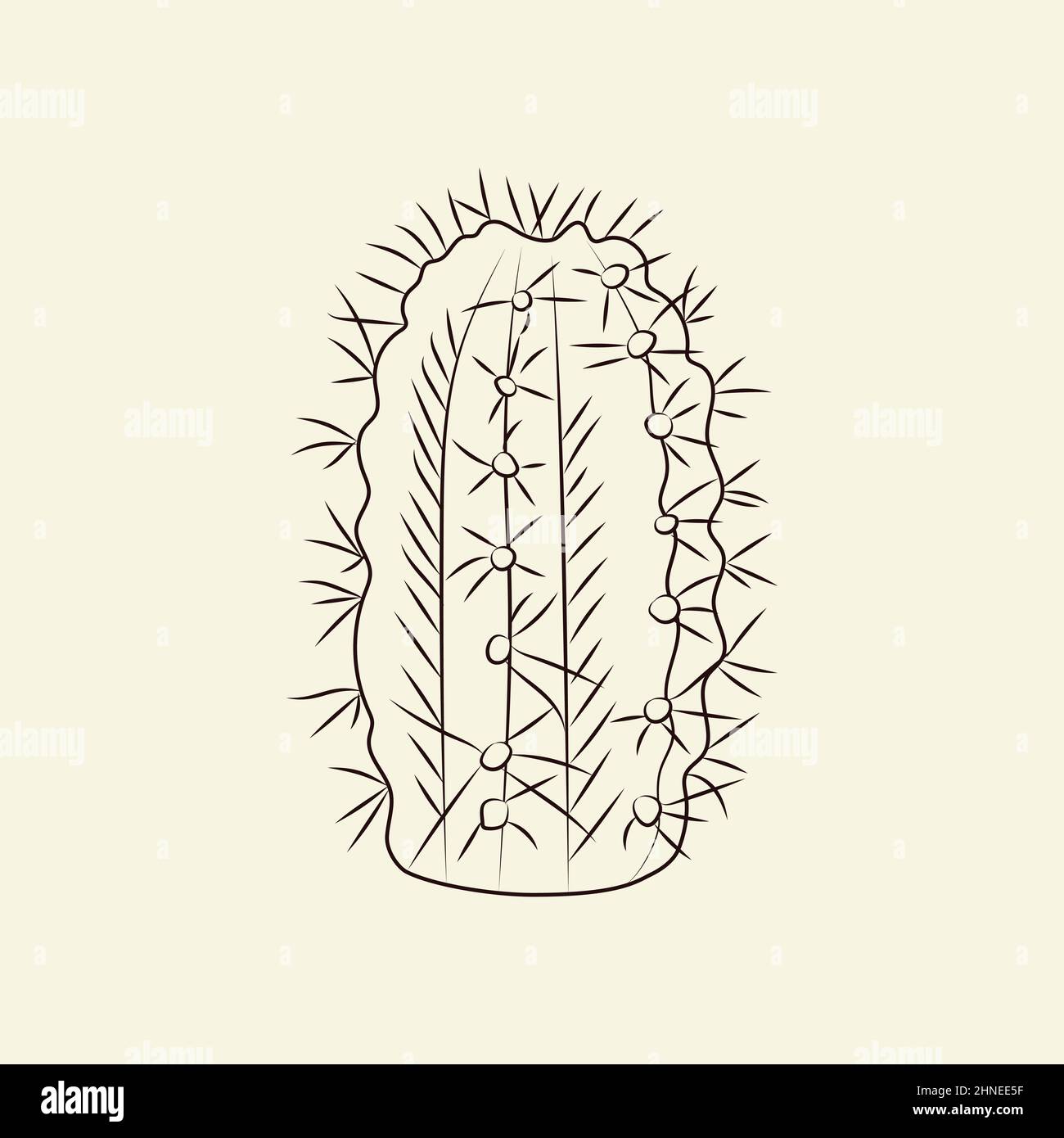 Hand drawn cactus isolated on light background. Wild cacti sketch ...