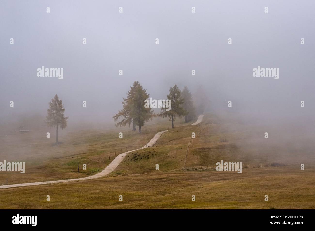 Winding path into the fog hi-res stock photography and images - Alamy