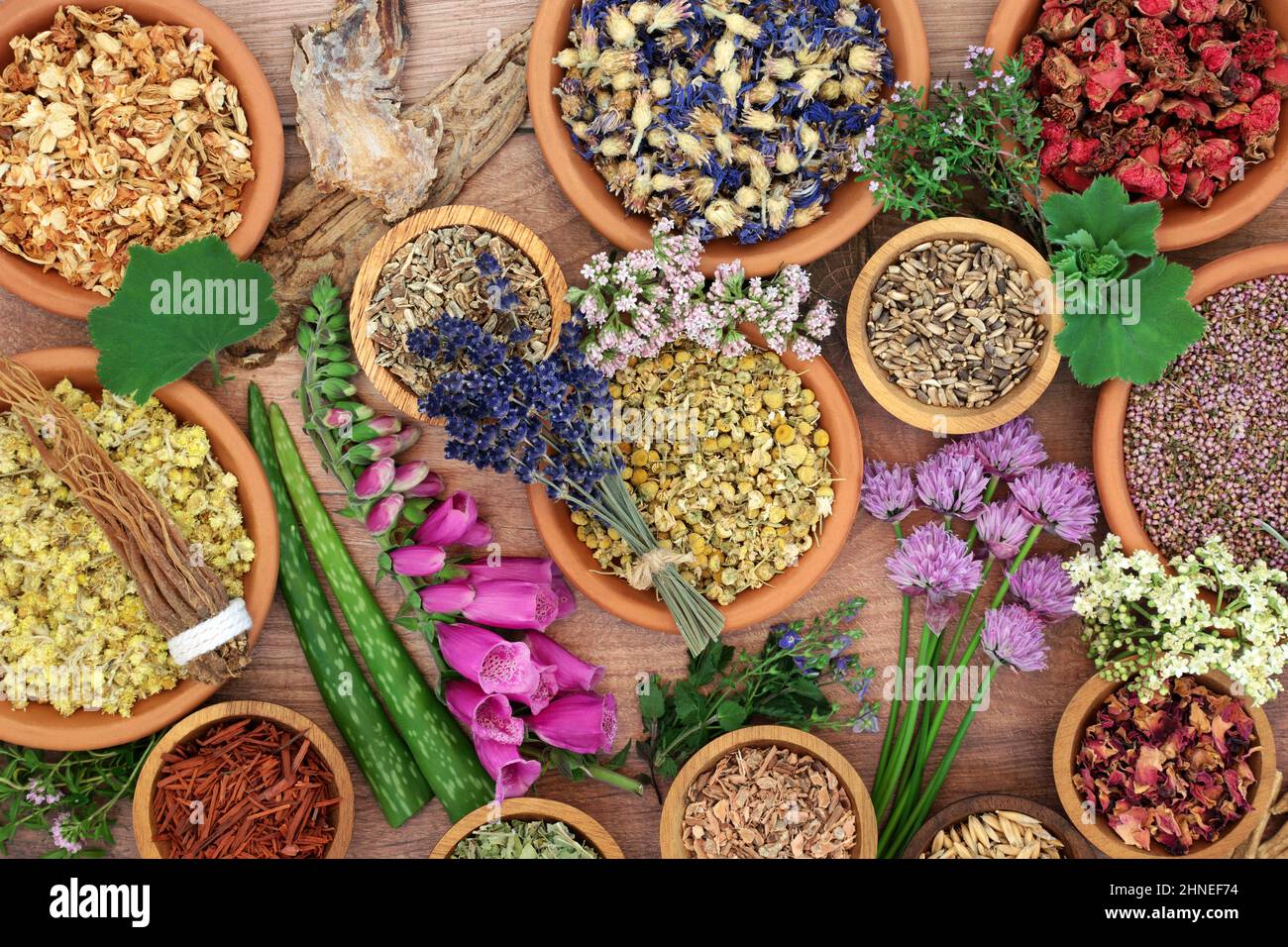 Healing herbs and flowers for alternative remedies. Herbal plant ...