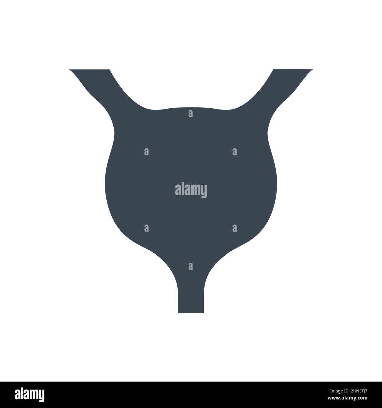 Bladder Vector Glyph Icons Stock Vector Image & Art - Alamy