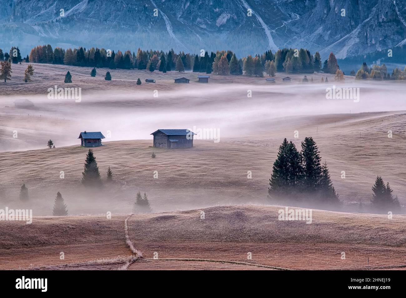 Fog over the pastures of Seiser Alm with wooden huts and colorful trees ...