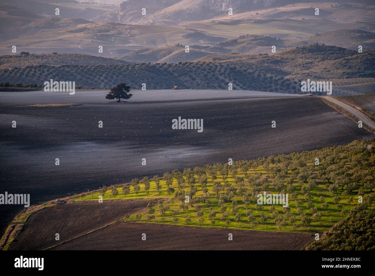 Agricultural landscape in southern spain hi-res stock photography and ...