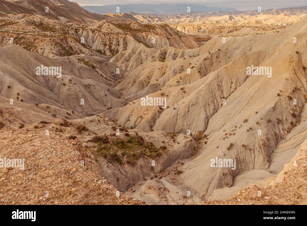Rambla de tabernas hi-res stock photography and images - Alamy