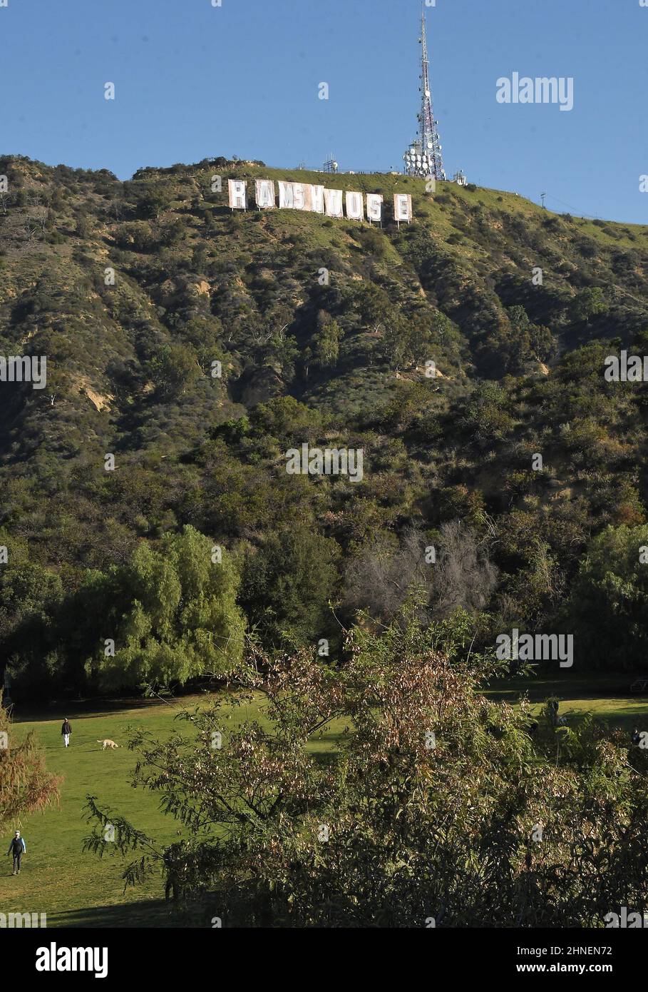 The Iconic Hollywood sign replaced with RAMS HOUSE to celebrate Super ...