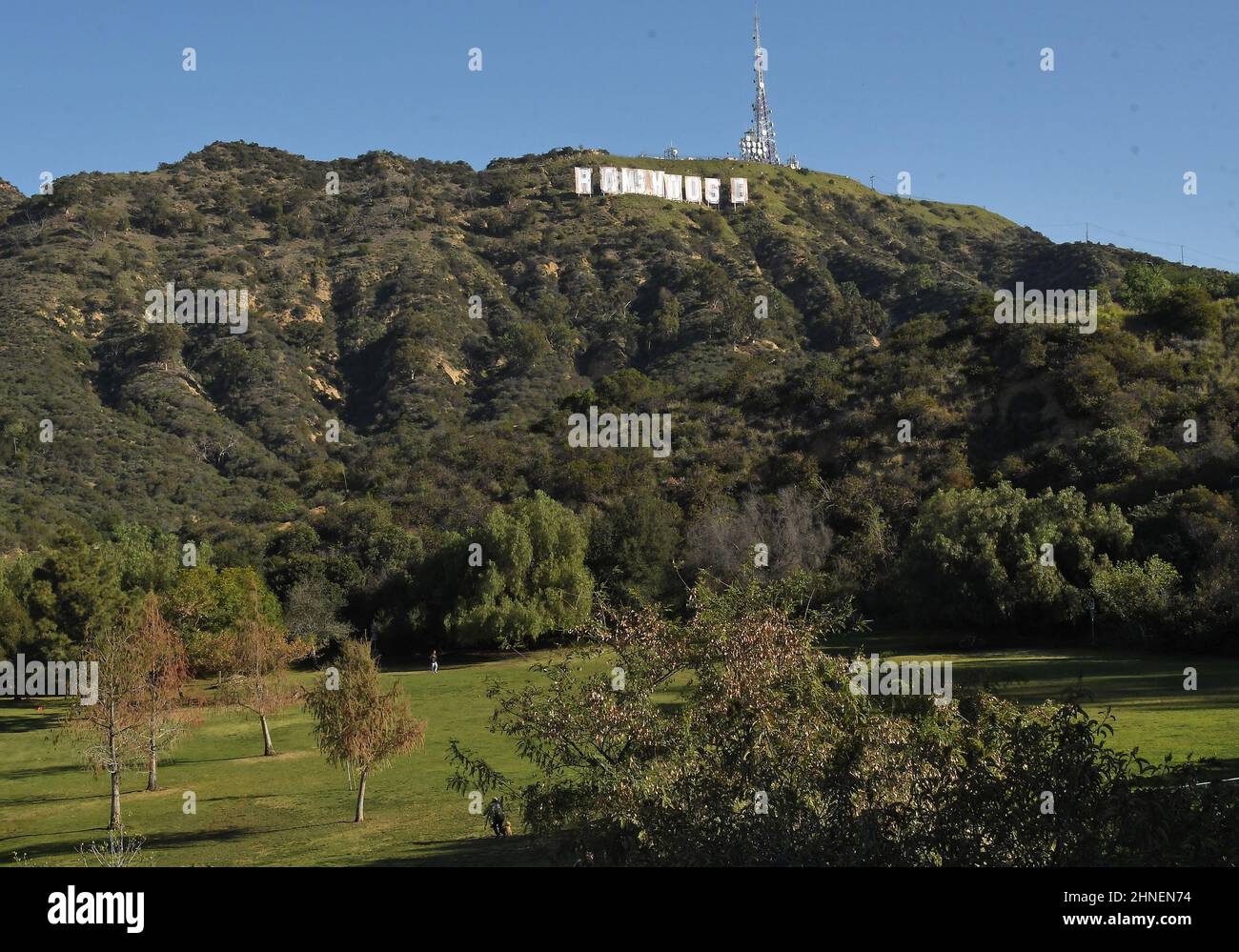 The Iconic Hollywood sign replaced with RAMS HOUSE to celebrate Super ...