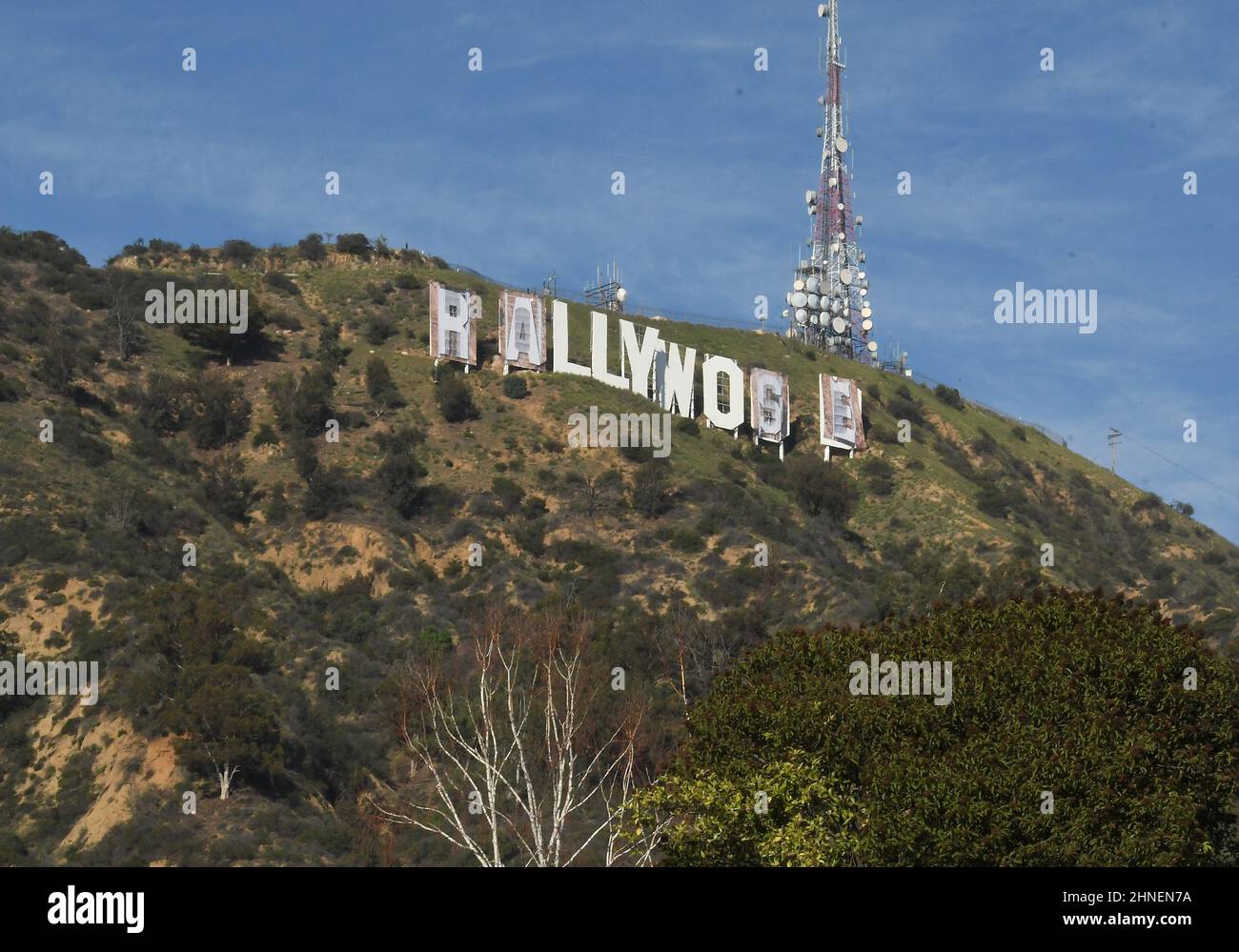 The Iconic Hollywood sign replaced with RAMS HOUSE to celebrate Super ...