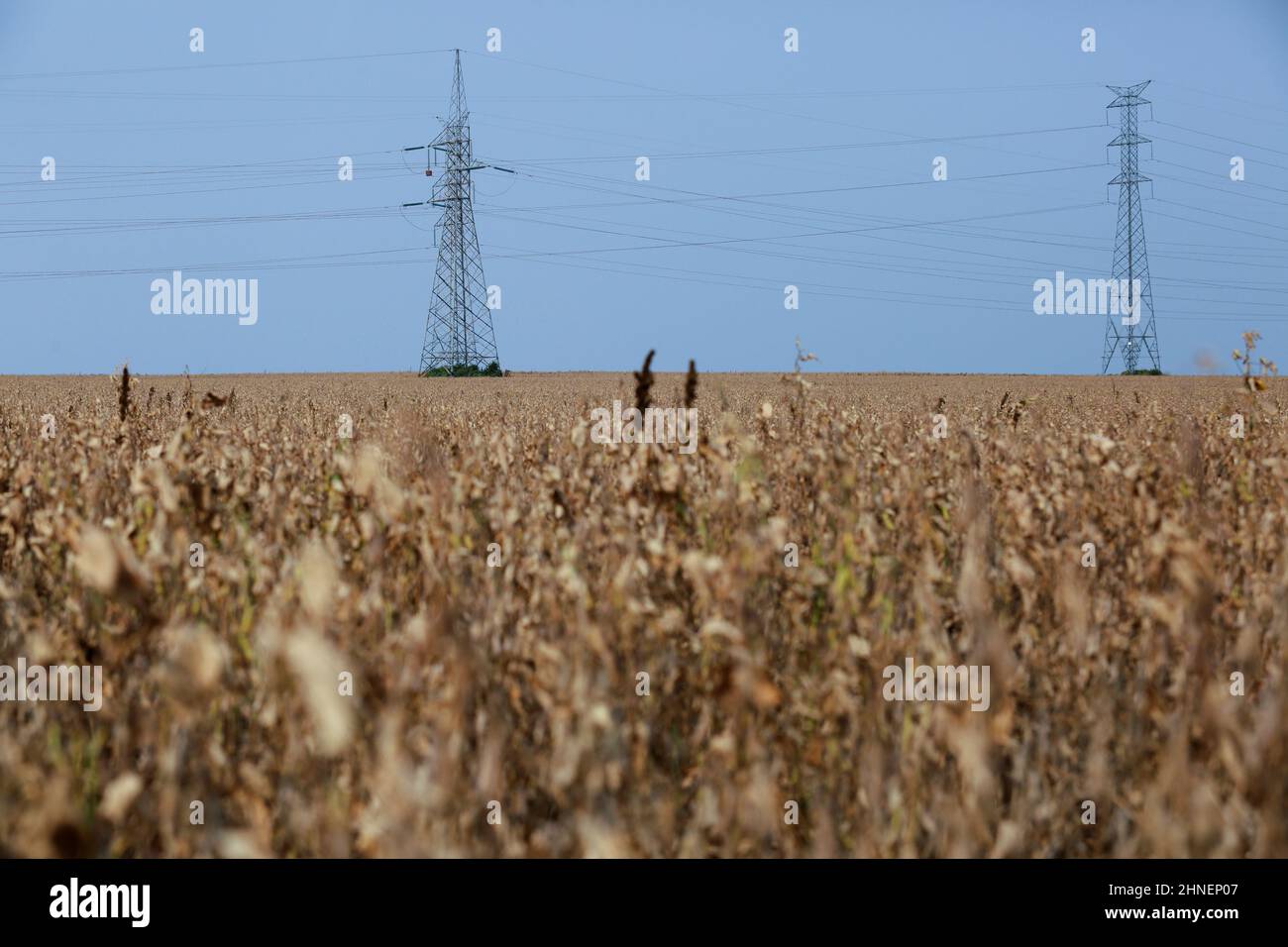 Soy harvest paraguay hi-res stock photography and images - Alamy
