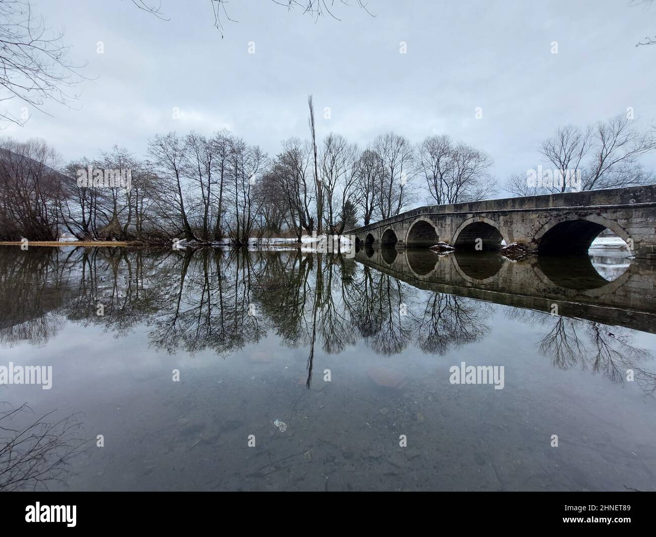 Shot of a bridge and trees without leaves has reflection in the river ...