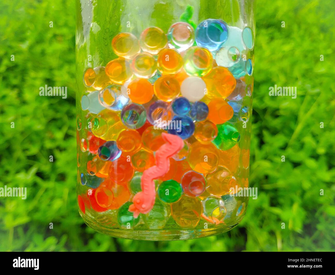 Selective focus shot of a glass of orbs hydrogel Stock Photo - Alamy