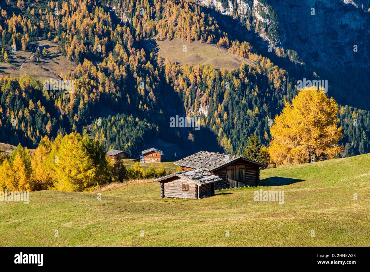 Hilly agricultural countryside with wooden huts and colorful trees at ...