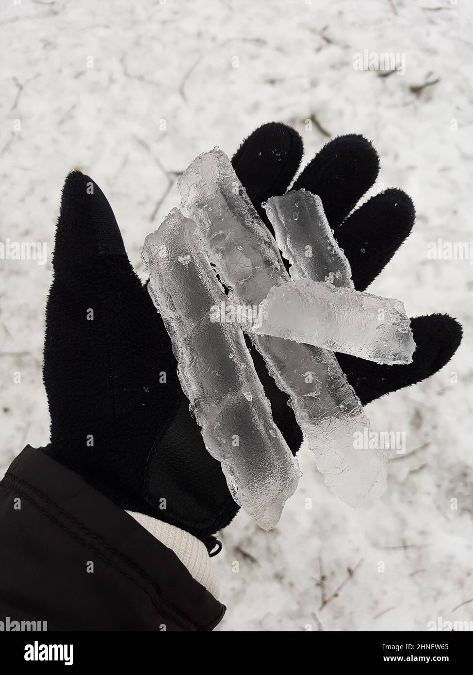 Hand holding fallen ice pieces from trees after freezing winter ice ...