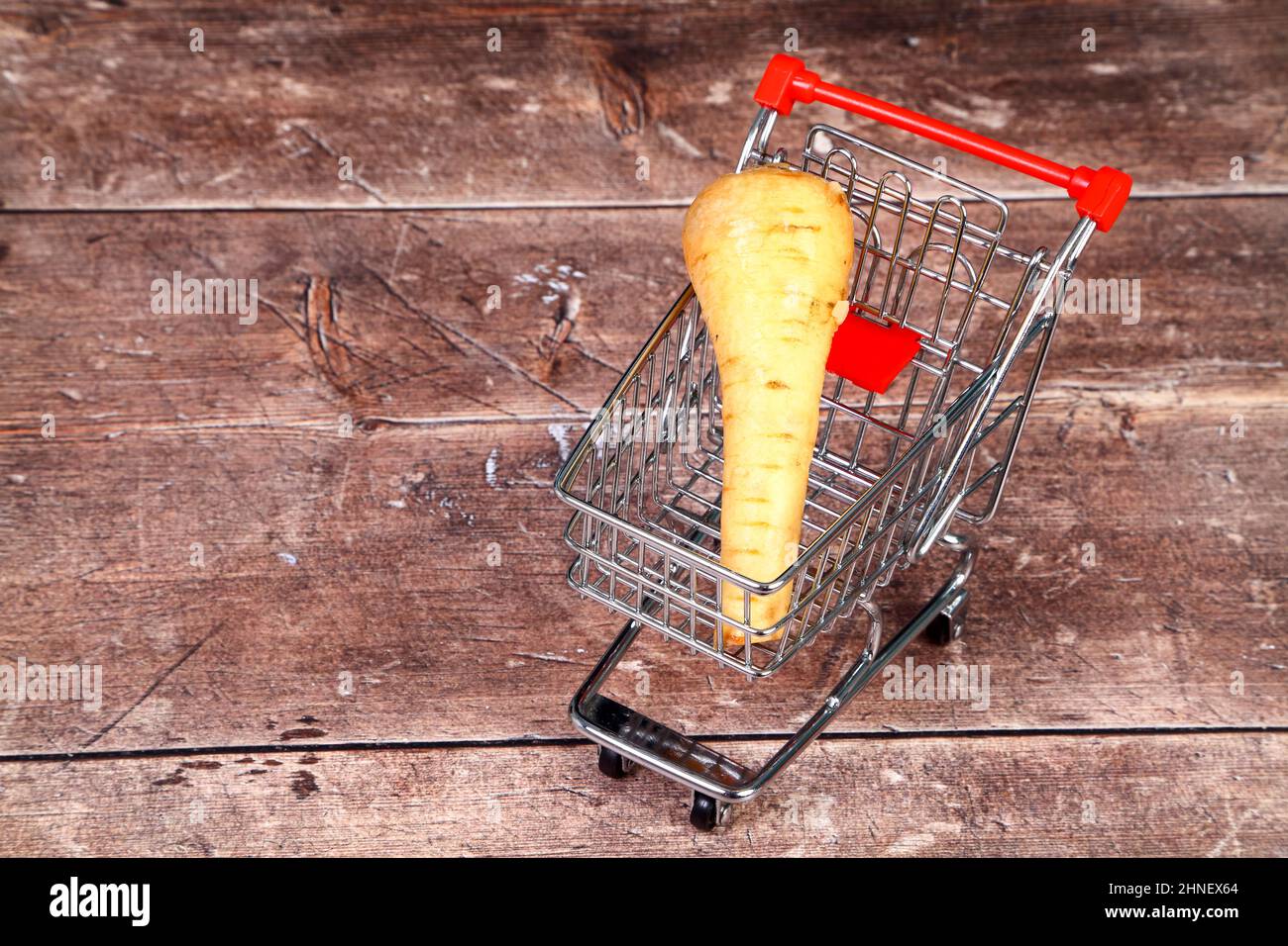 Parsnips Pastinaca Sativa sat in a miniature wire shopping trolley cart ...