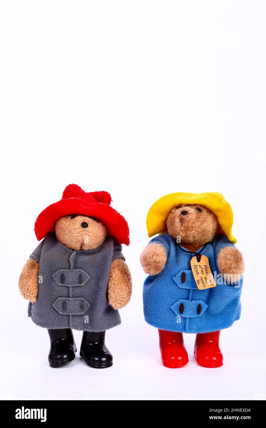 Paddington bears isolated on a white background with copy space ...