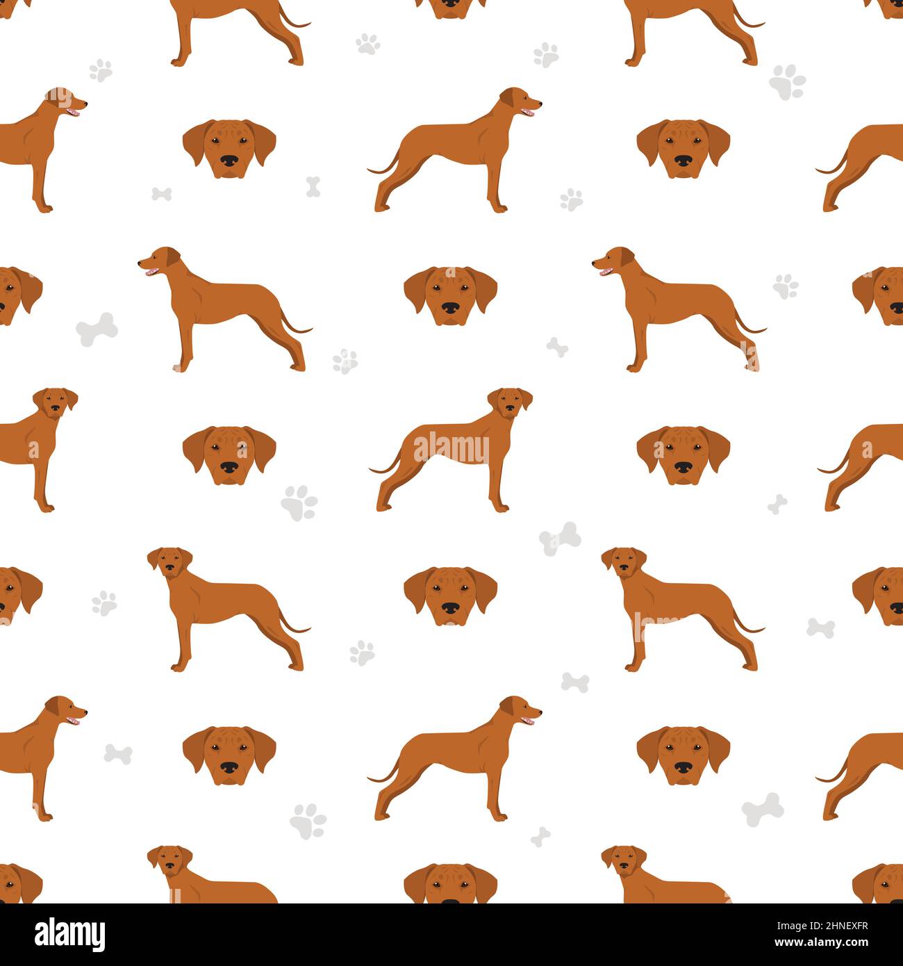 Rhodesian ridgeback seamless pattern. Different poses, coat colors set ...