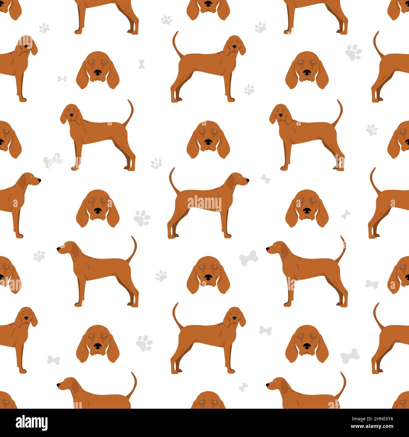 What Color Is A Redbone Coonhound