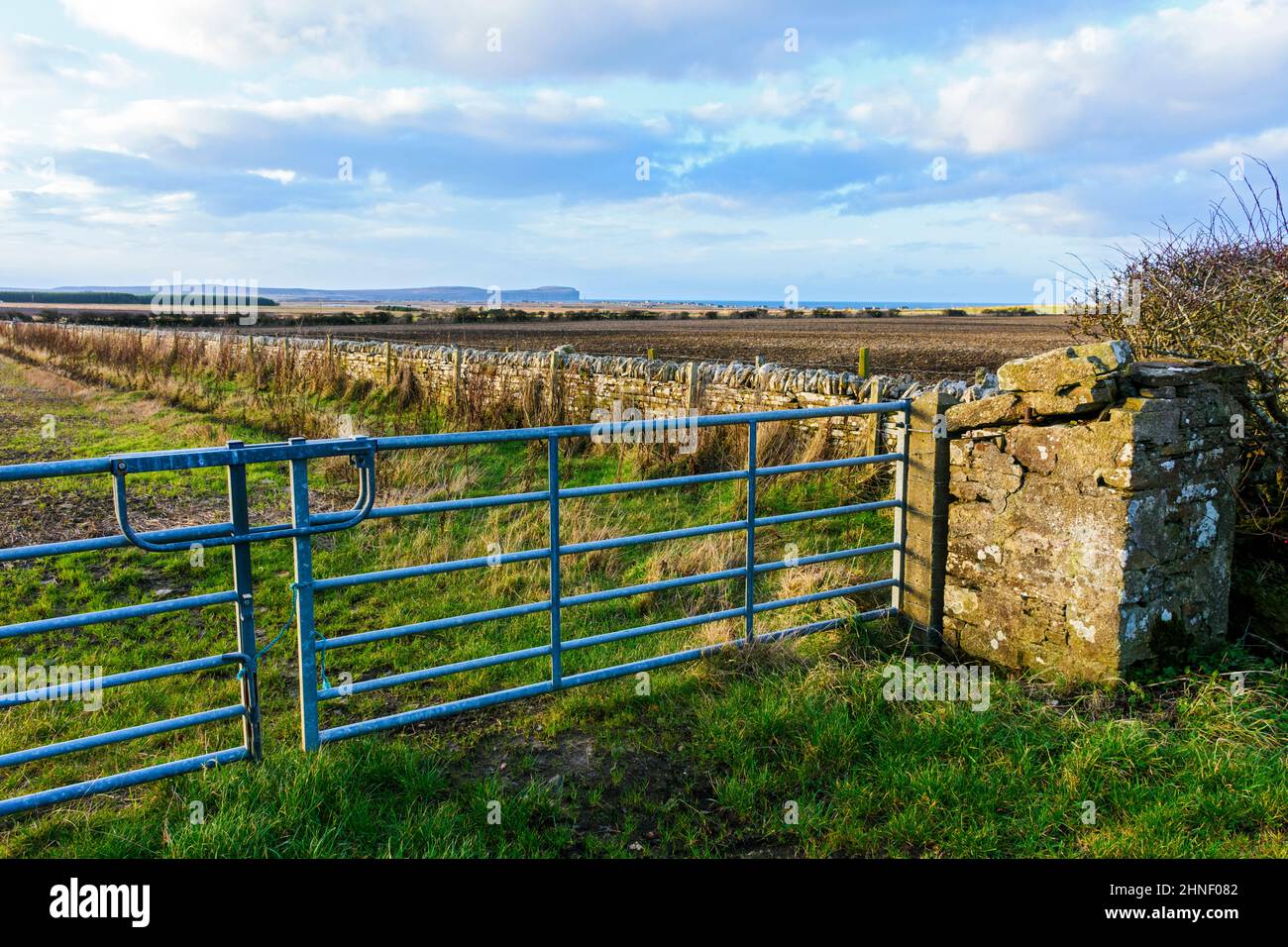 Dunnet village hi-res stock photography and images - Alamy