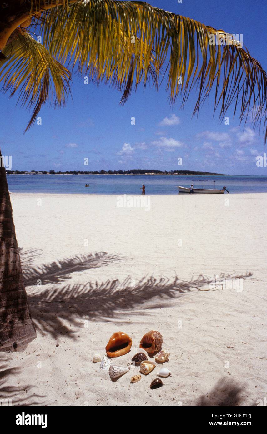 mauritius island gran bay romantic beach indian ocean seashells Stock ...