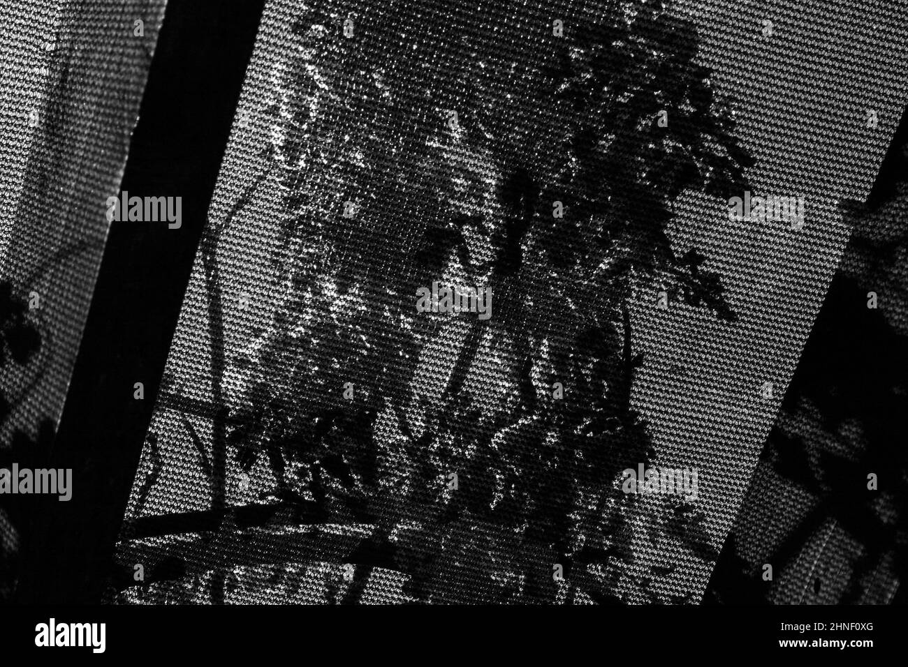 Vine support Black and White Stock Photos & Images - Alamy