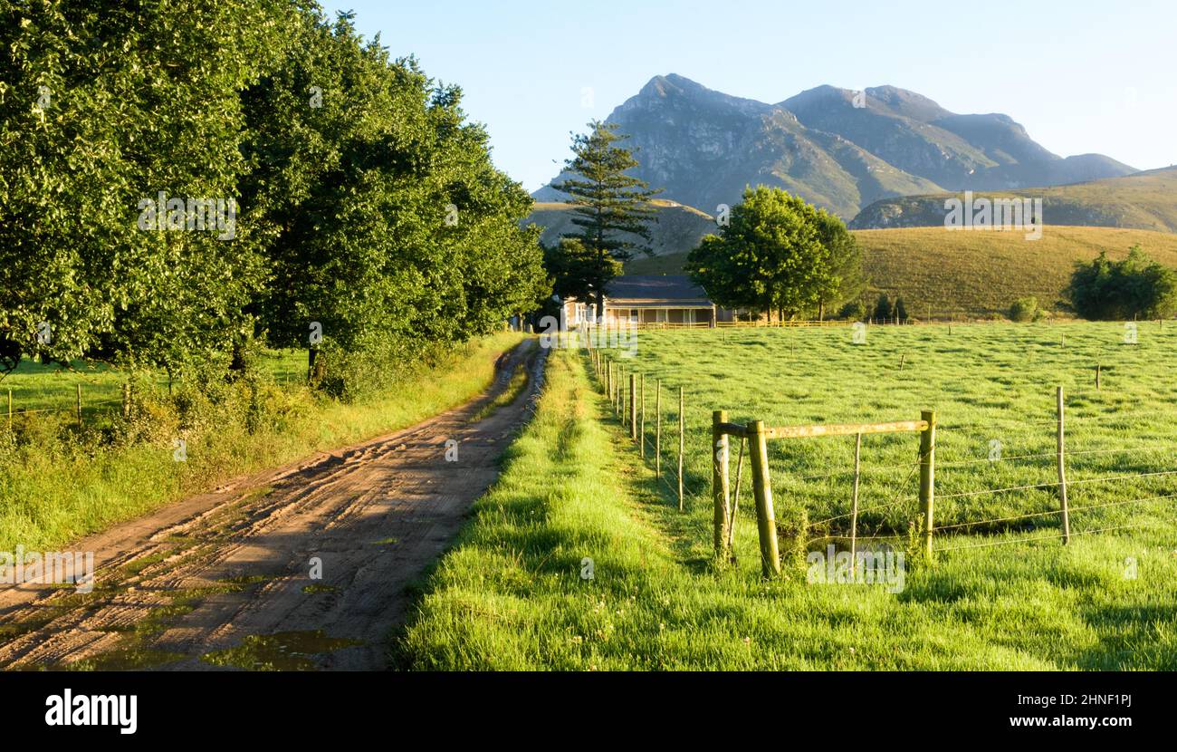 Farmhouse in the Western Cape, South Africa Stock Photo - Alamy