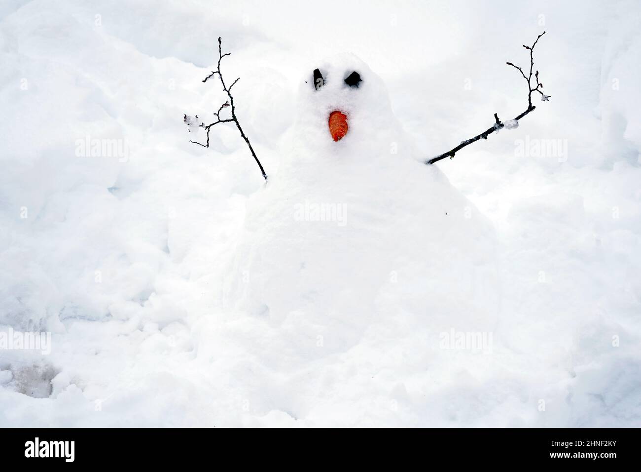 Snowman with two coals as eyes, carrot as a nose an twigs as hands ...