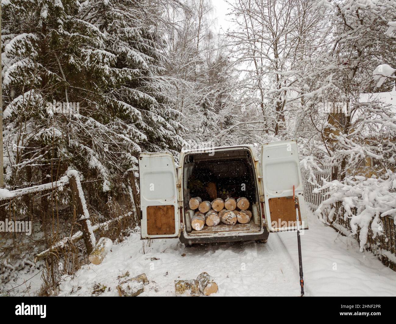 loading cut trunks into a minivan with open rear door under a snowfall ...