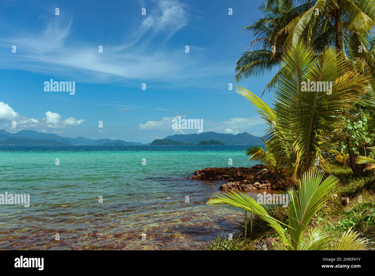 Beautiful lagoon with turquoise water and palm trees. Paradise travel ...
