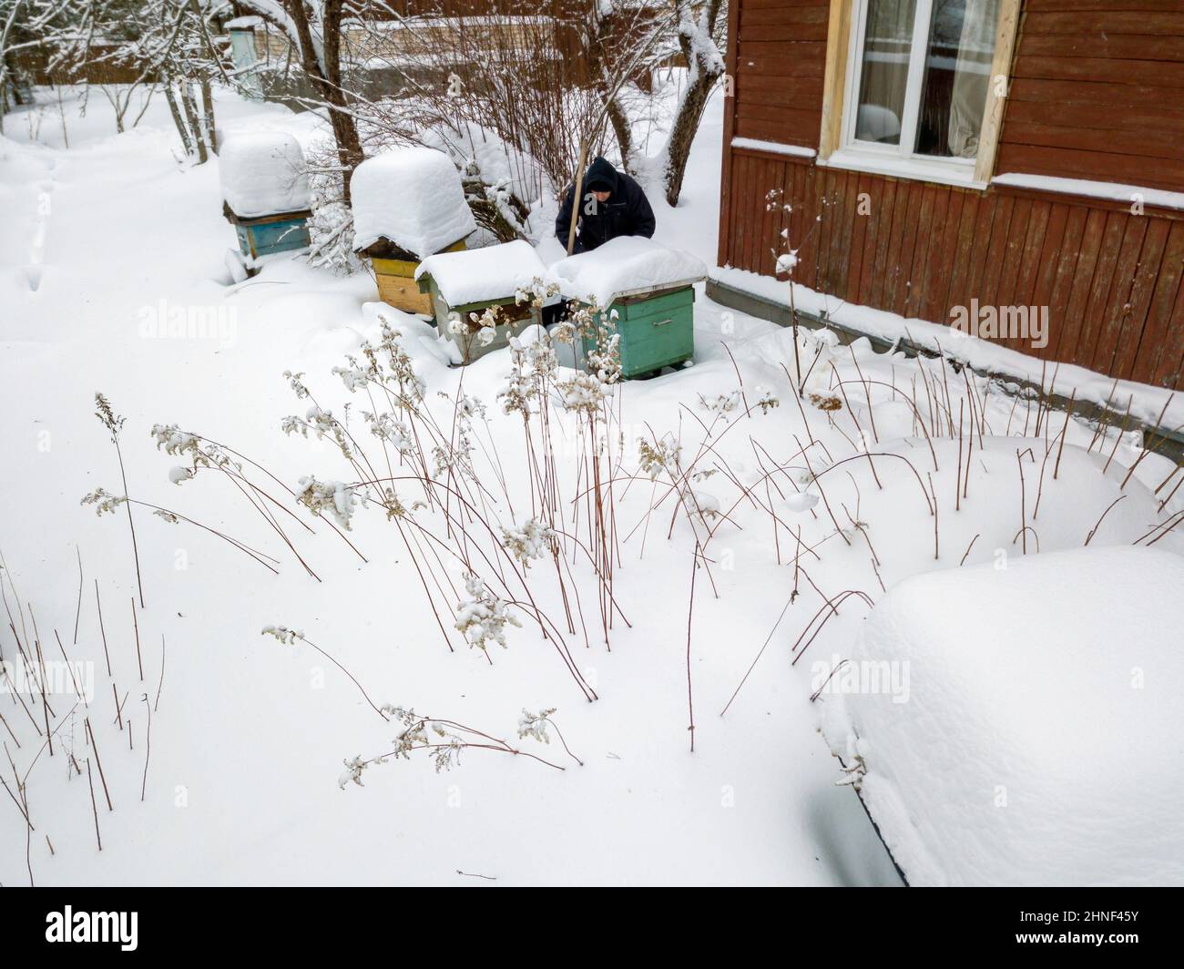 a beekeeper inspecting hives in a garden covered with snow, winter ...