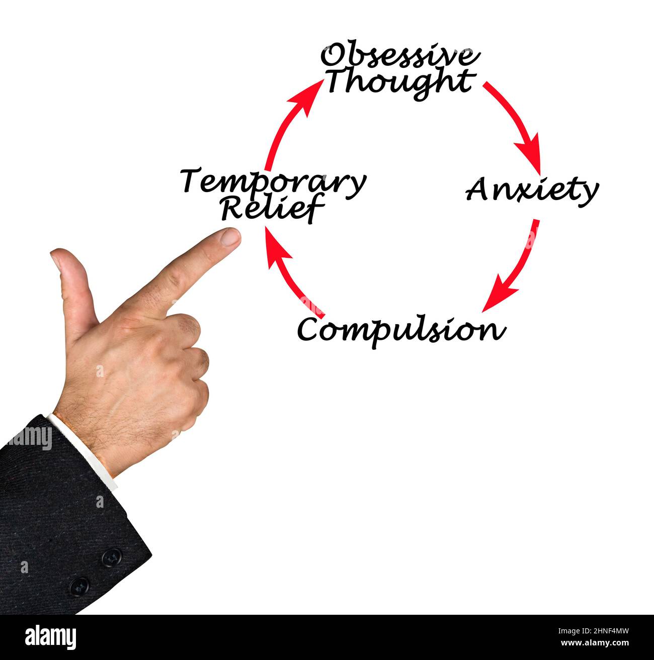 DEVELOPMENT LIFECYCLE STRATEGY DESIGN IMPLEMENTATION OPERATIONS CONTINUAL IMPROVEMENTS Stock ...