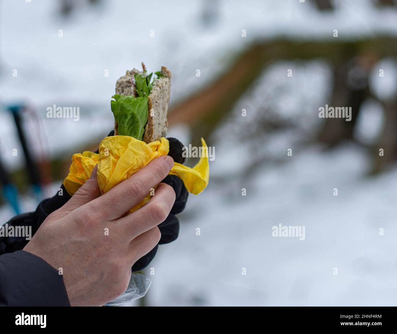 Hand holding sandwich isolated hi-res stock photography and images - Alamy