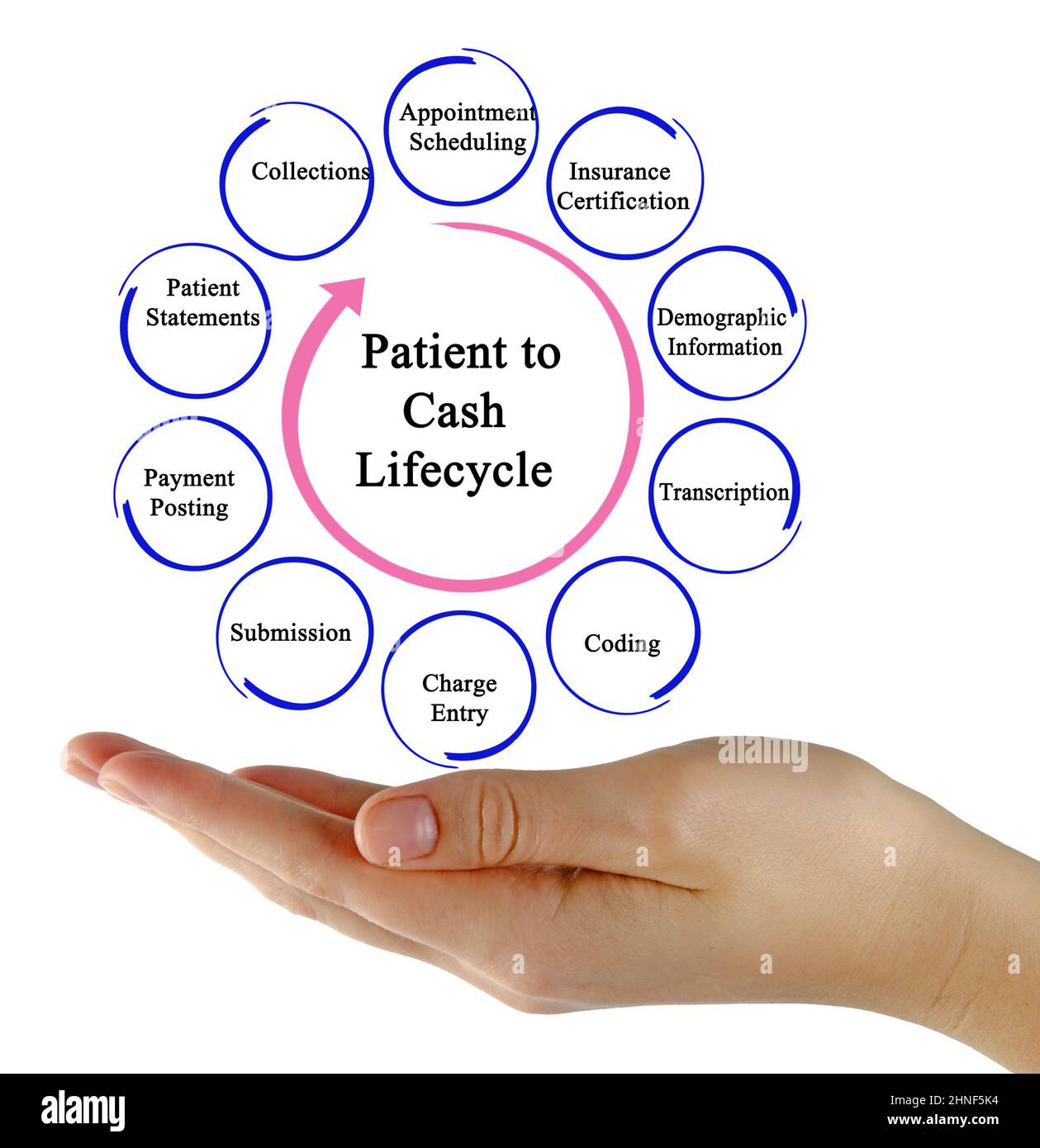 Patient to Cash Life Cycle Stock Photo - Alamy