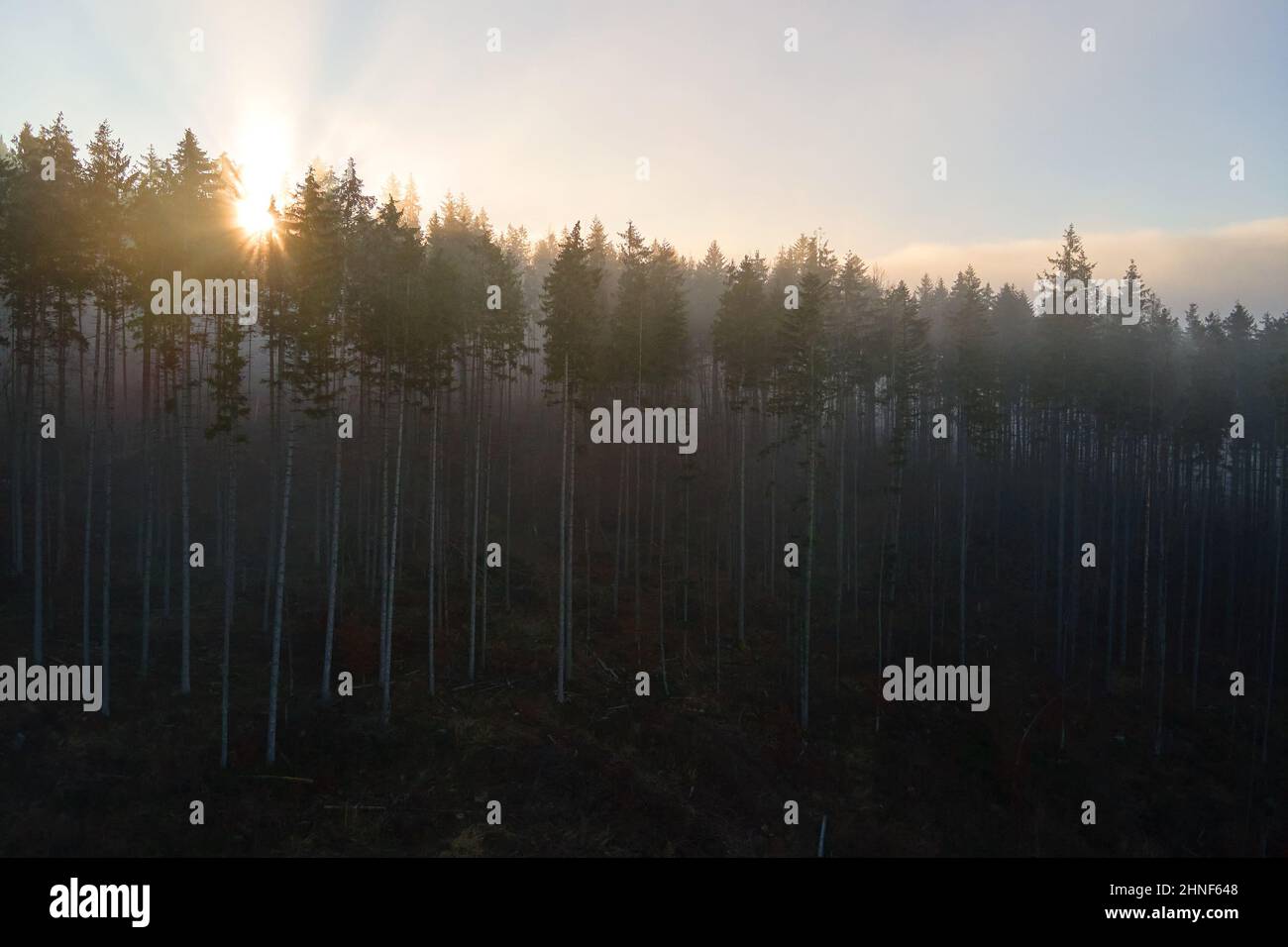 Aerial view of amazing scenery with light beams shining through foggy ...