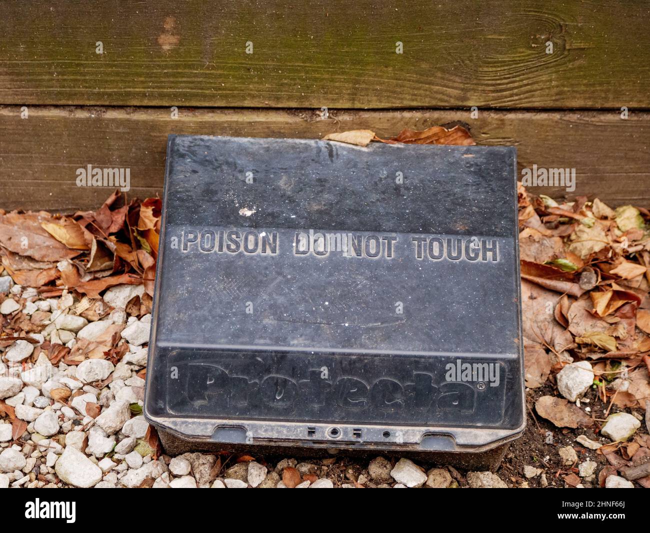 Poison bait rat trap Stock Photo - Alamy